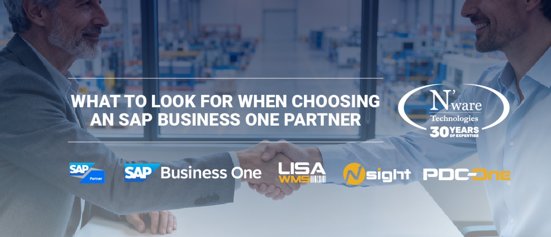 What to Look for When Choosing an SAP Business One Partner - N’ware ...