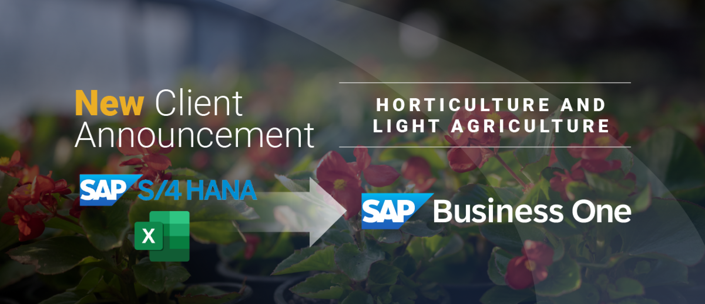 Welcoming a New Client: ERP for the Horticulture and Light Agriculture ...